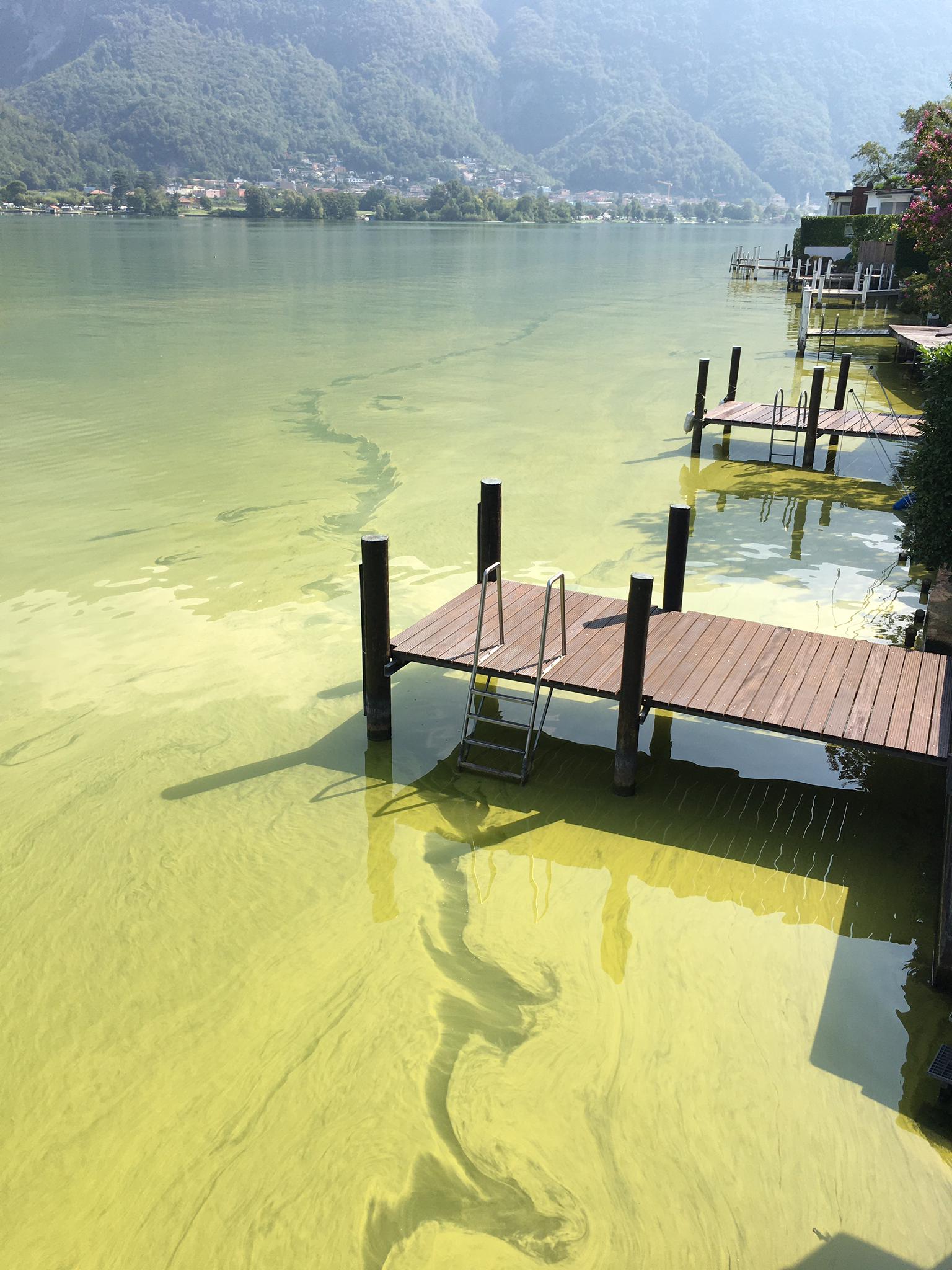 Repubblica e Cantone Ticino - Fioriture algali nel Lago di Lugano