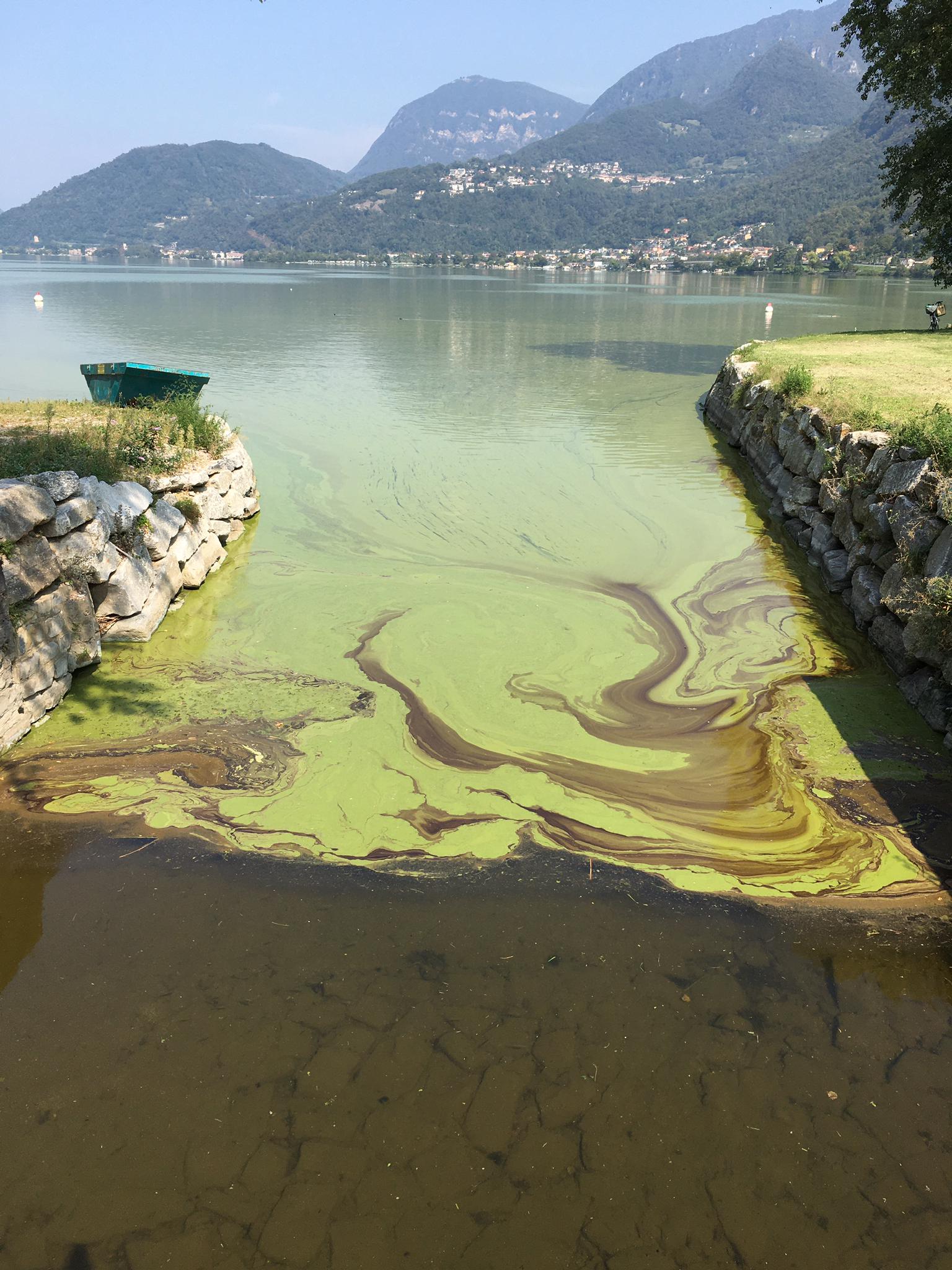 Repubblica e Cantone Ticino - Fioriture algali nel Lago di Lugano
